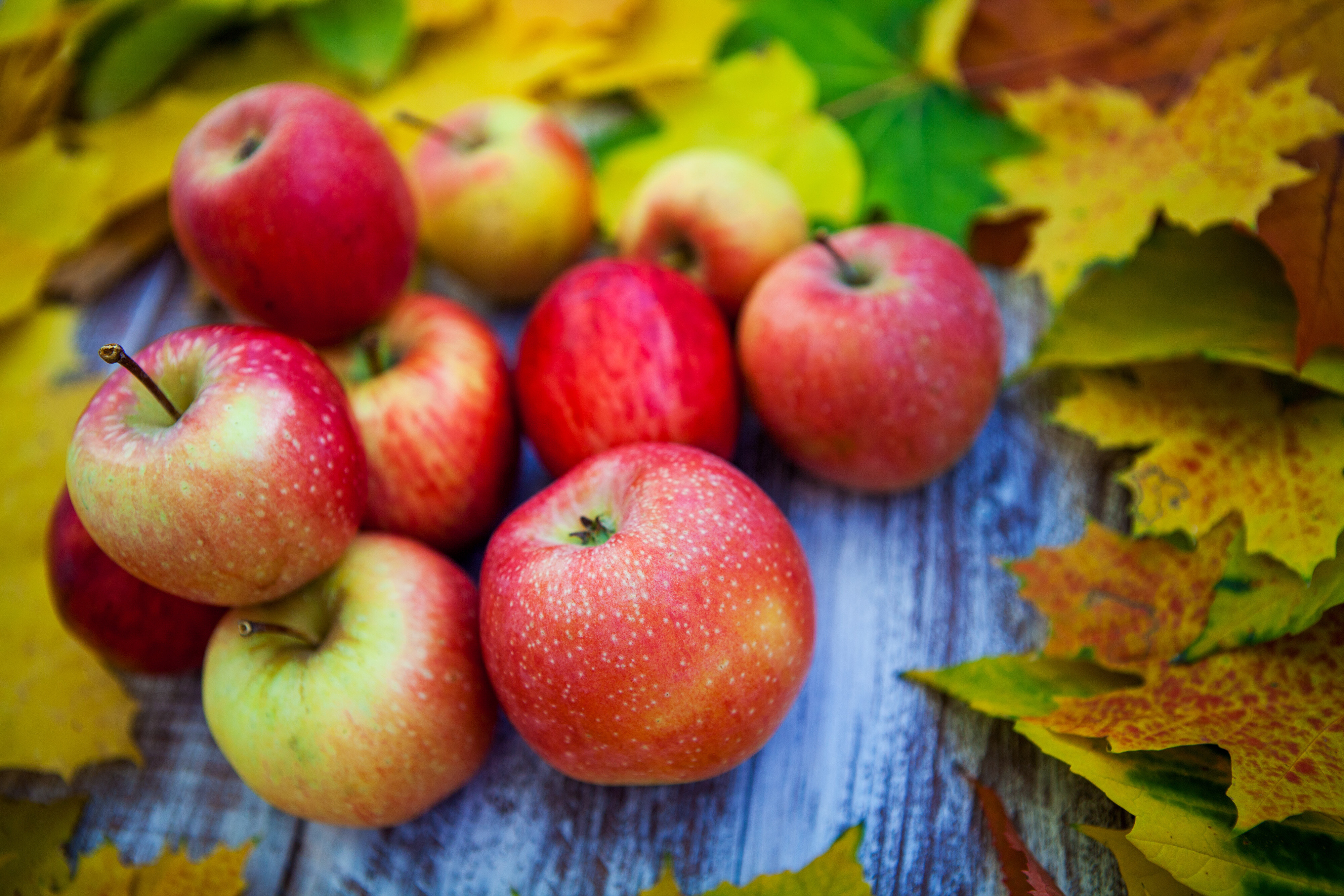 The Seasonal Allure of Apples